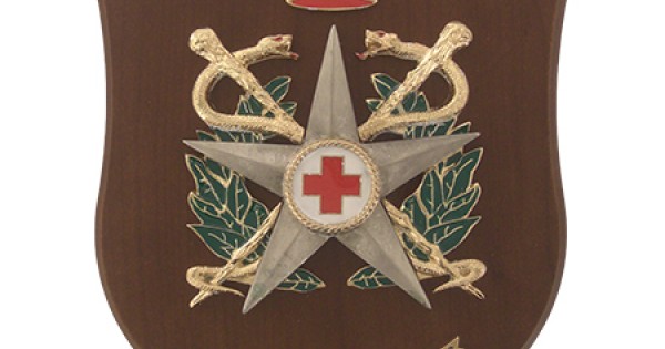 CREST CROCE ROSSA ITALIANA MILITARE "INTER ARMA CARITAS"