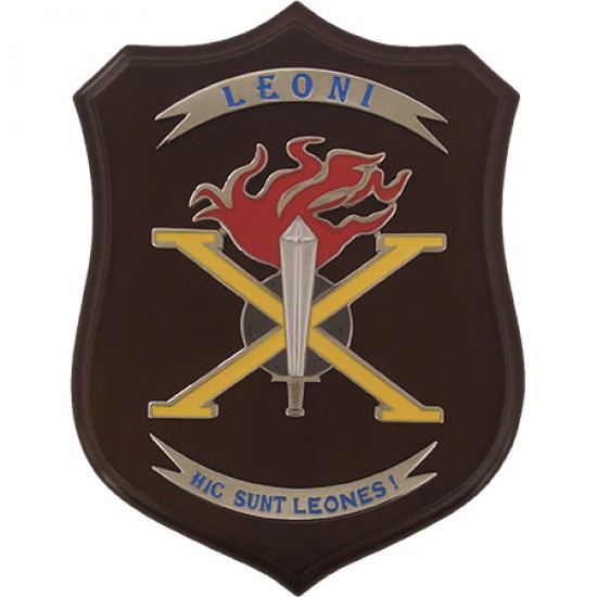 CREST E.I. - X "LEONI"