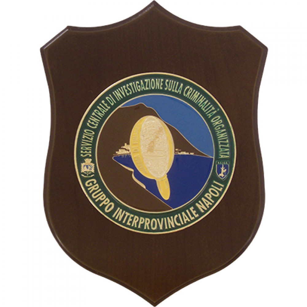 CREST GUARDIA DI FINANZA - SERVIZIO CENTRALE DI INVESTIGAZIONE SULLA ...